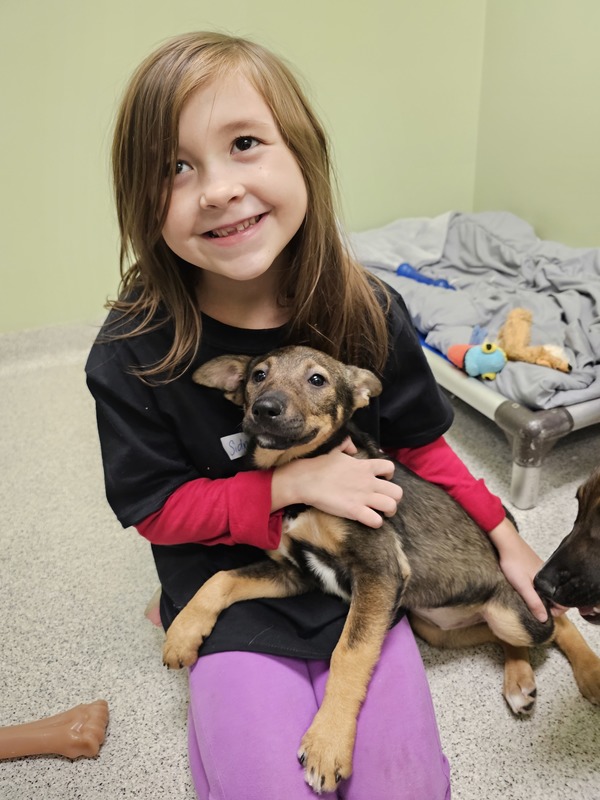 2nd & 3rd grade classes hand deliver donations to Susquehnna SPCA ...